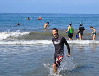 Tales from the bright side: SHARKFEST SWIM 2012