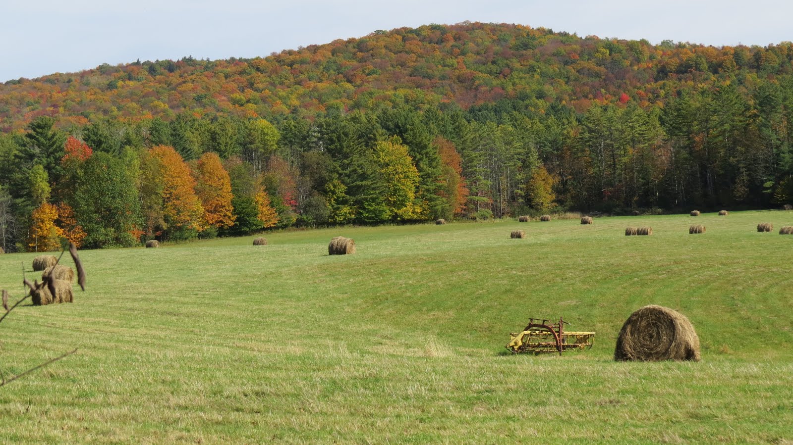 Jericho, Vermont Photos: Jericho VT Scenes - October is for walking