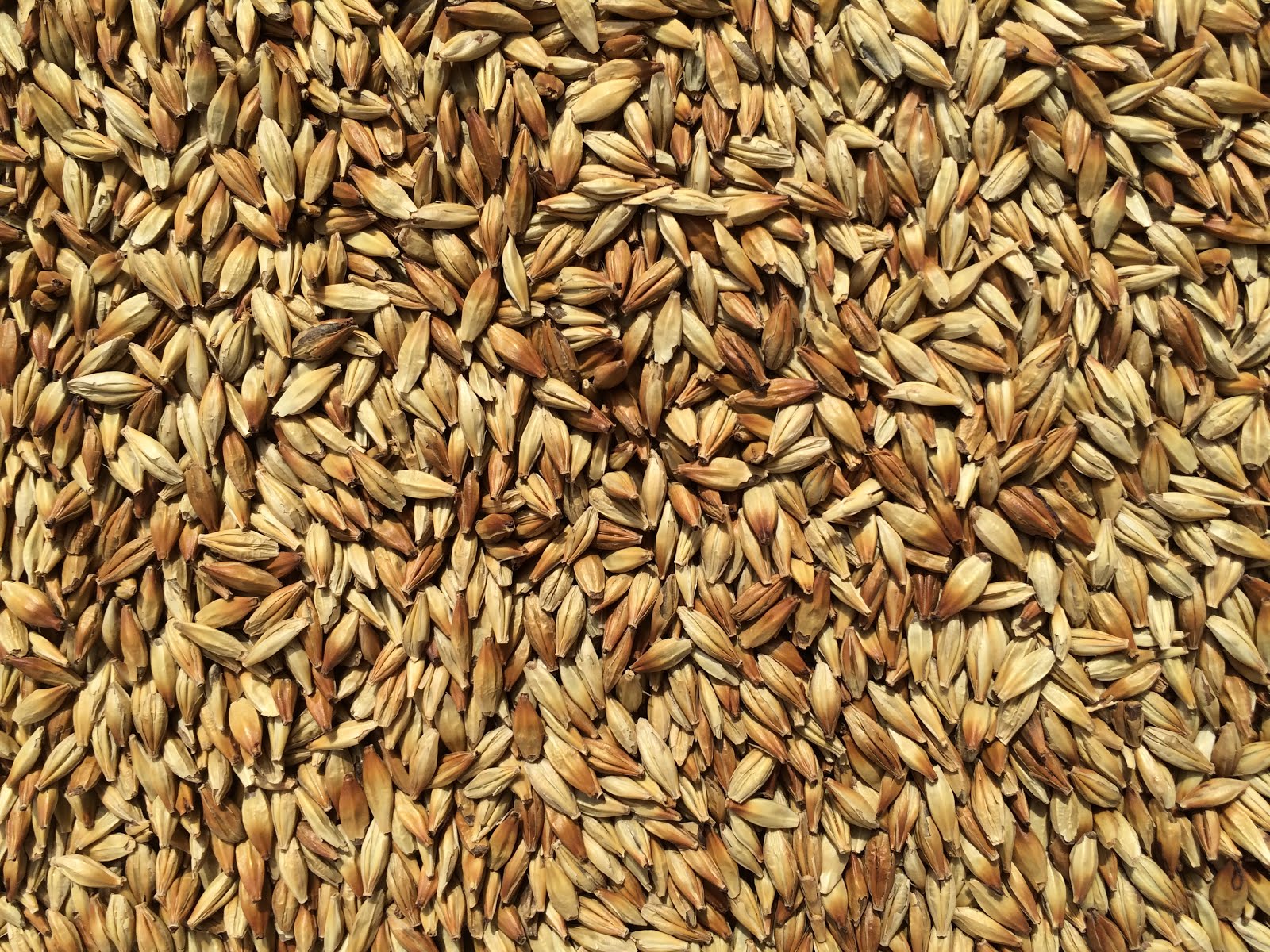 Joseph's Grainery: Now In Stores - McLeod's Palouse Market