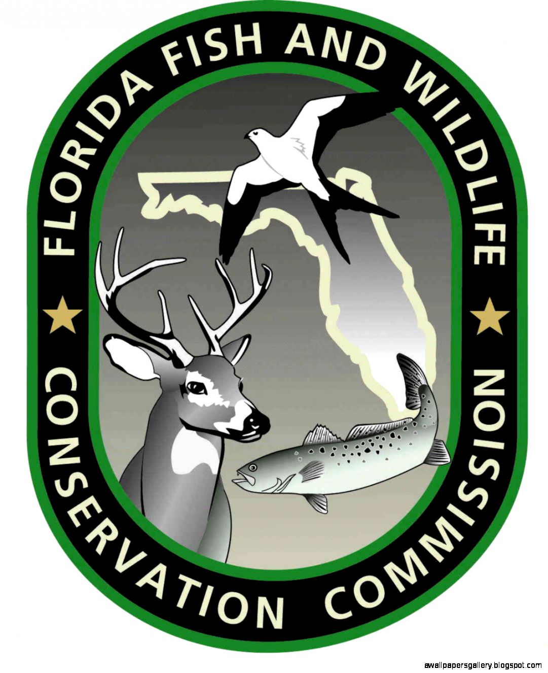 Florida Wildlife Conservation | Wallpapers Gallery