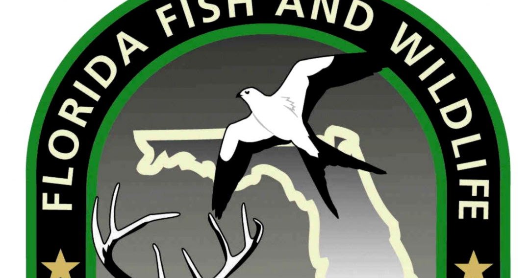 Florida Wildlife Conservation | Wallpapers Gallery