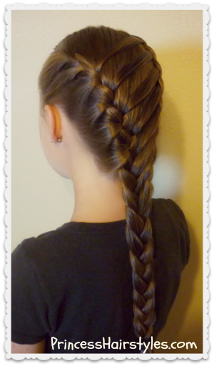 Two French Braids Hairstyles