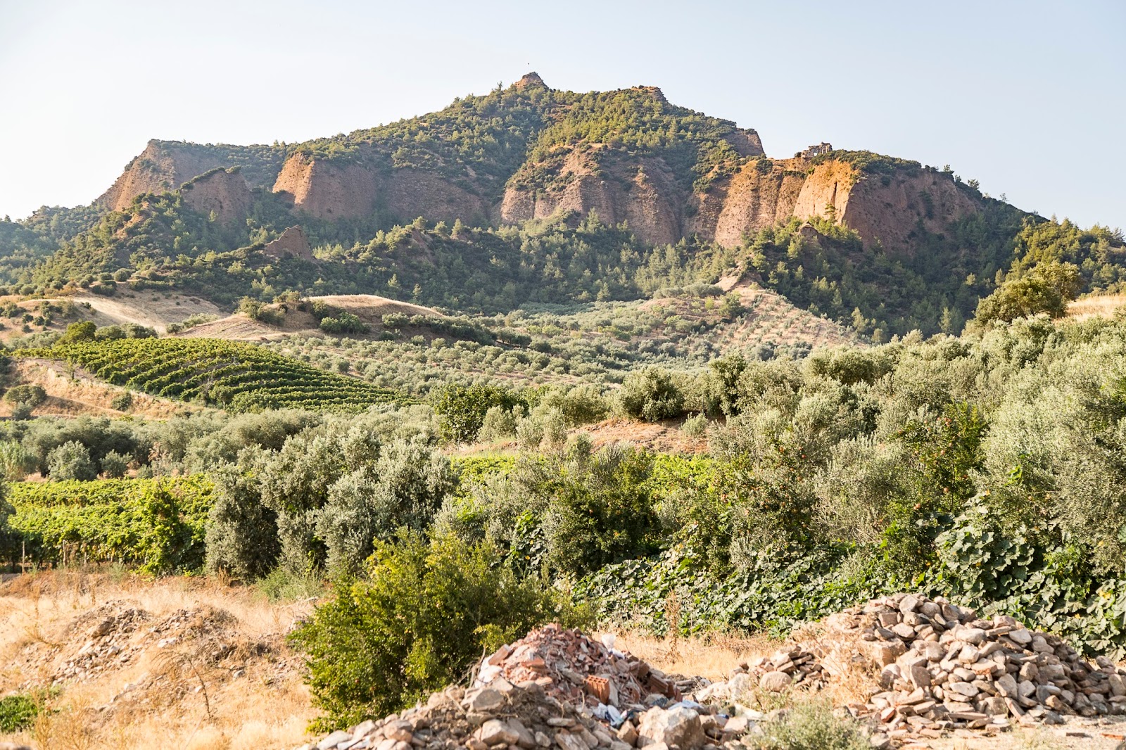 Covered in His Dust: REVELATION: Waking Up in Sardis (part one)