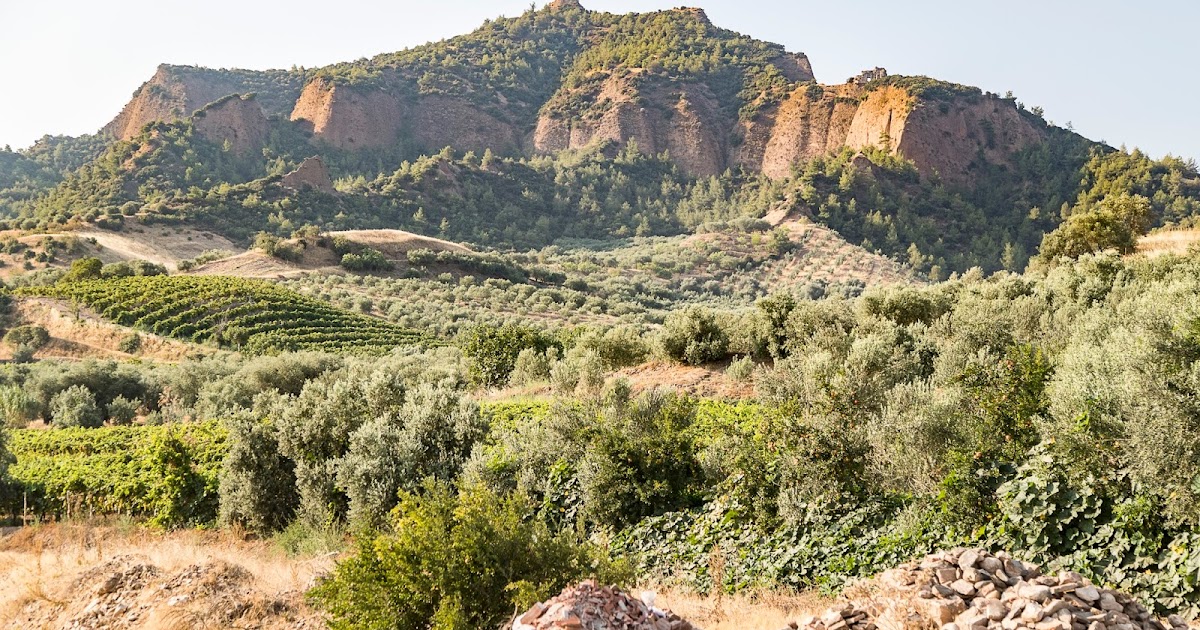 Covered in His Dust: REVELATION: Waking Up in Sardis (part one)