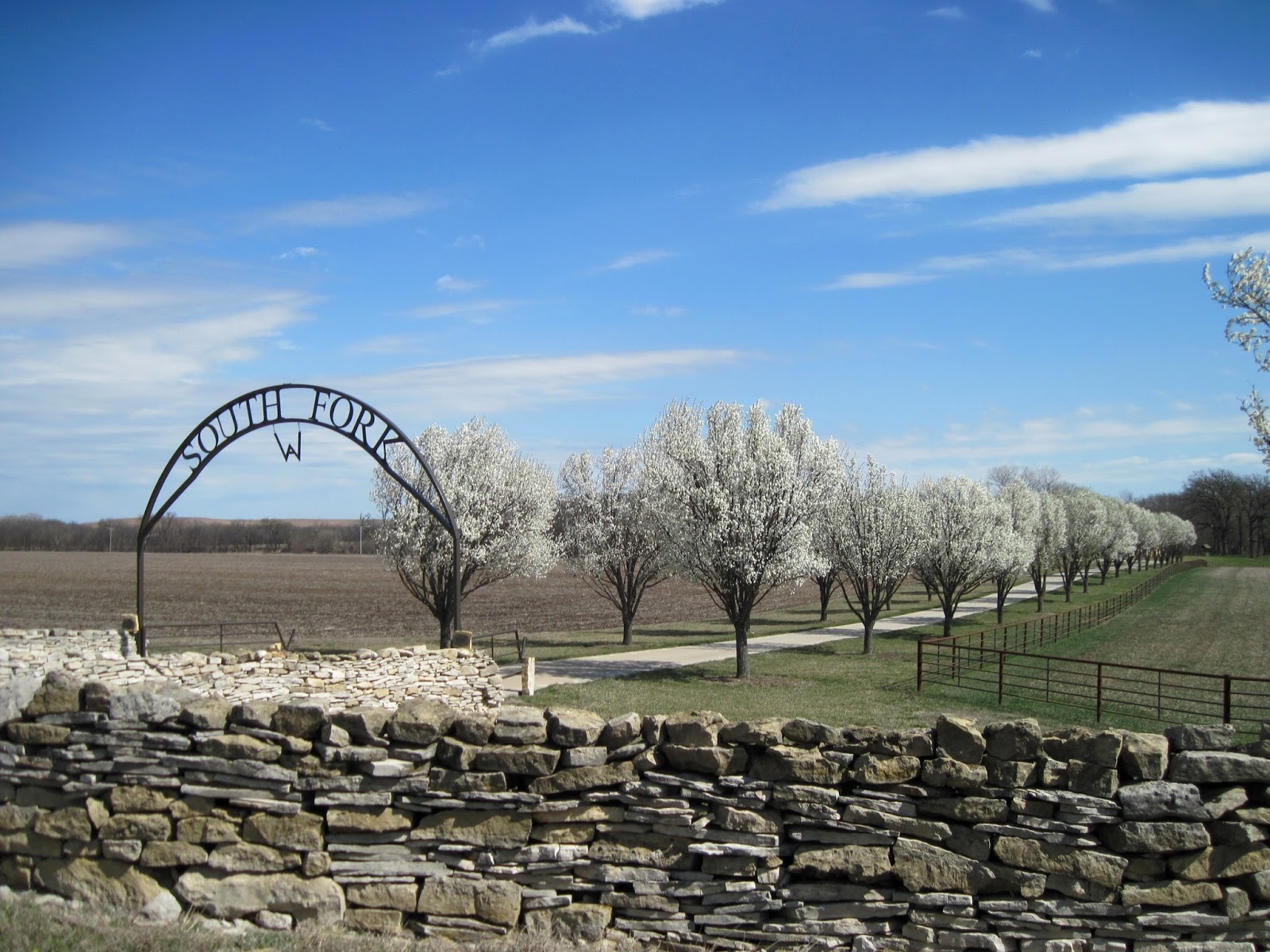 Just Passing Through: Exploring Matfield Green and the Surrounding Area ...