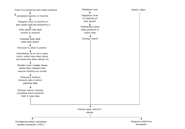 Seputar Dunia Keperawatan: PATHWAY PREEKLAMSIA & HIPERTENSI
