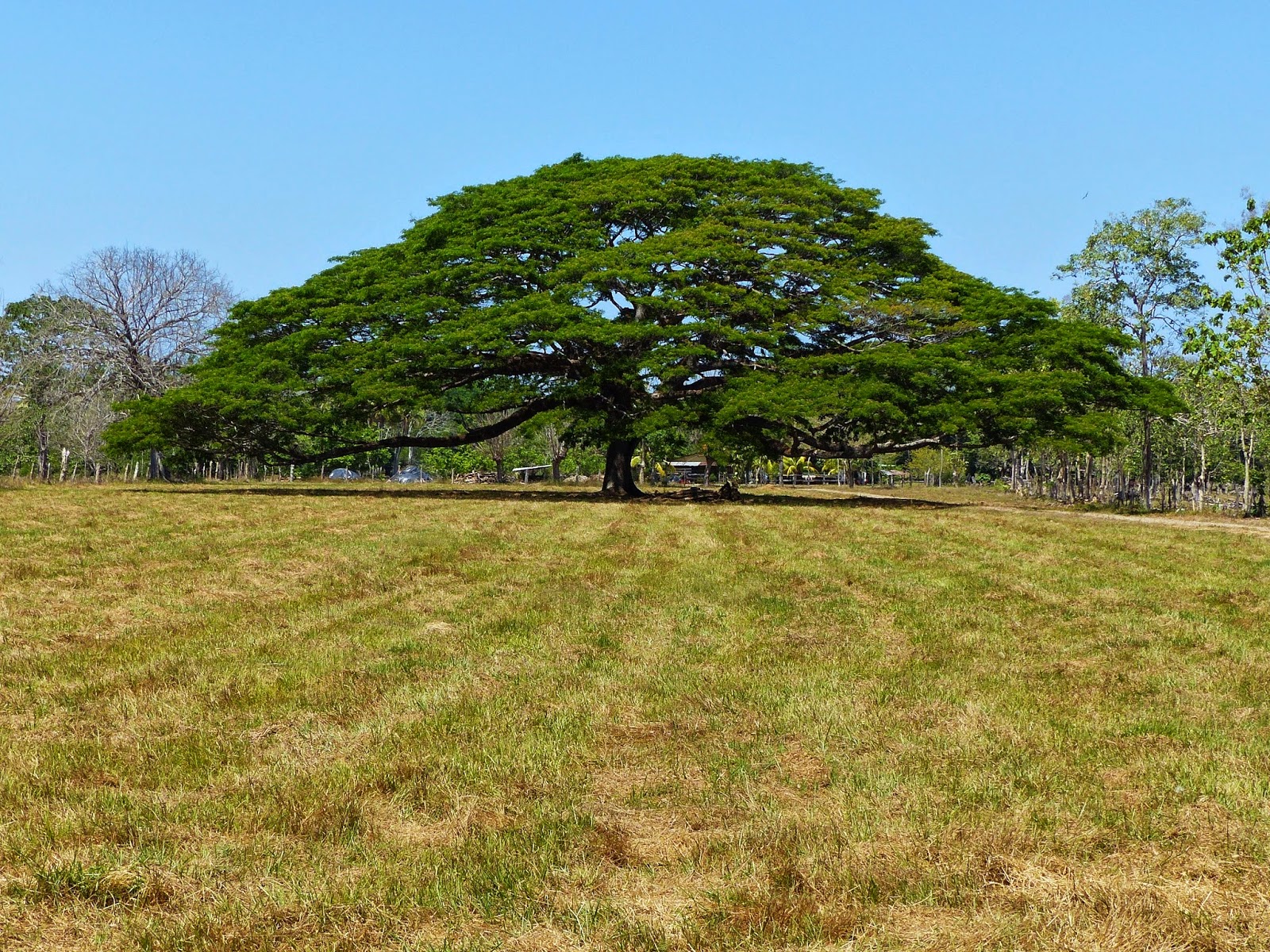 Life, for a month in Costa Rica