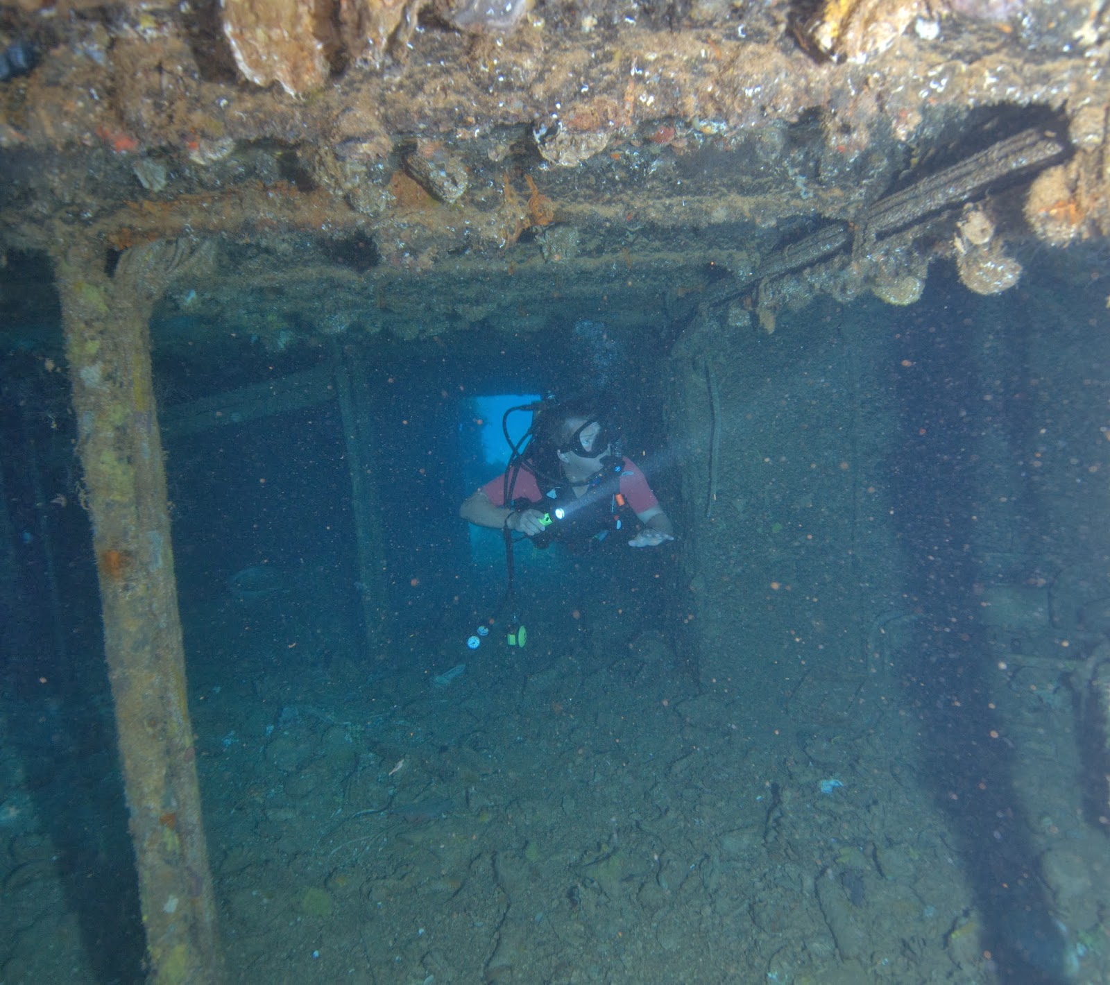 Cruising On SY Sooke