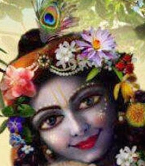 HariHarji: 'Shri Krishna Karnamrita:' Sixty-first Shloka