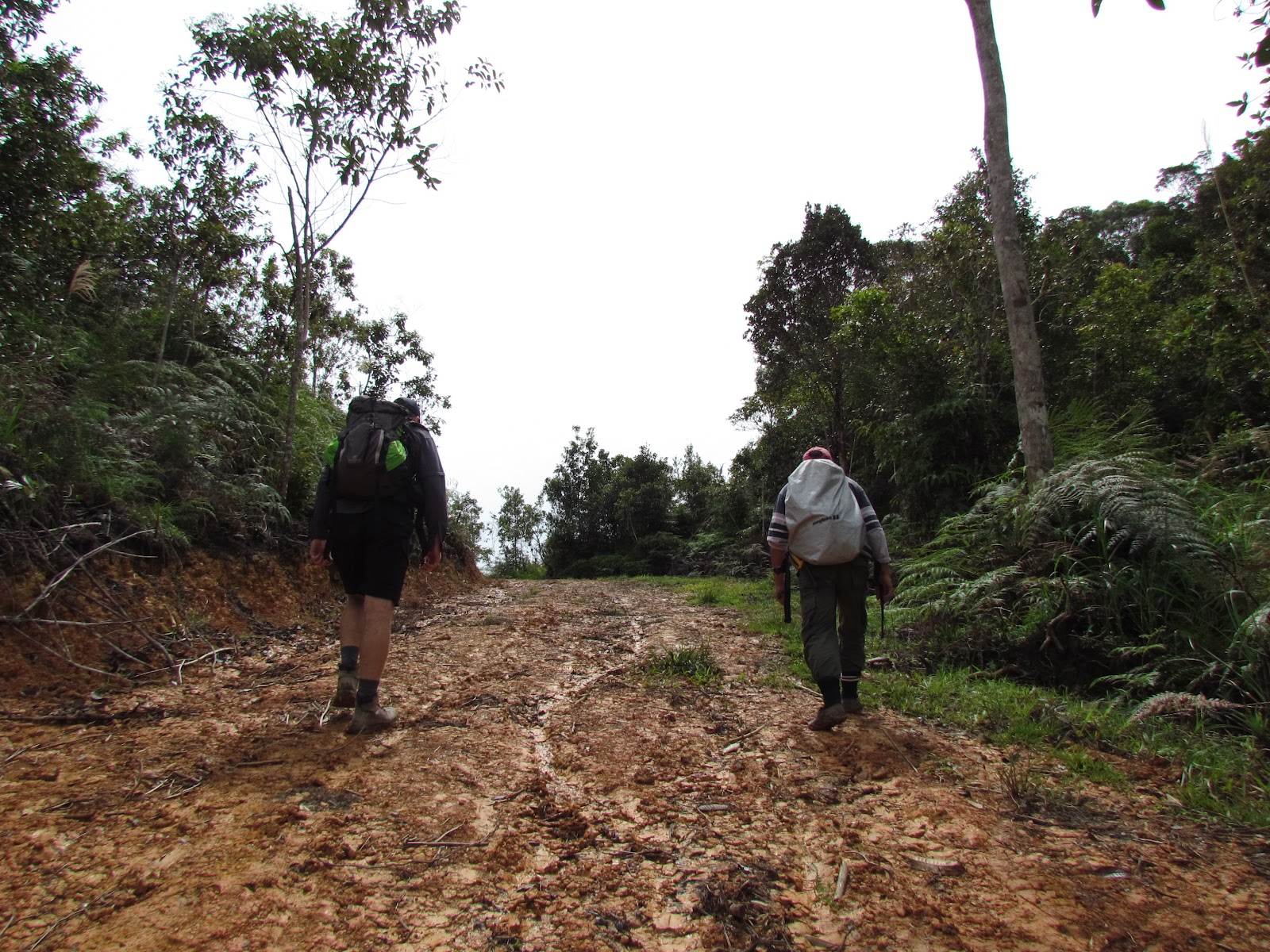 Travels with Kylie: Loving Pa Lungan, Bario, Malaysia