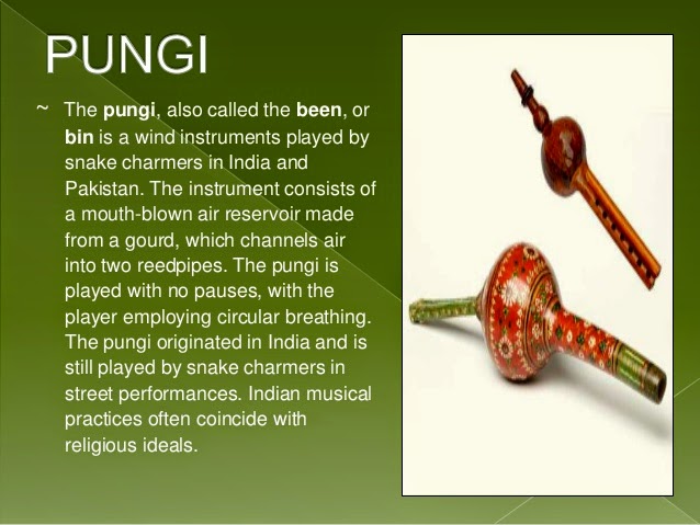 Pungi or Bin - Cobra charmers' magic and musical wand