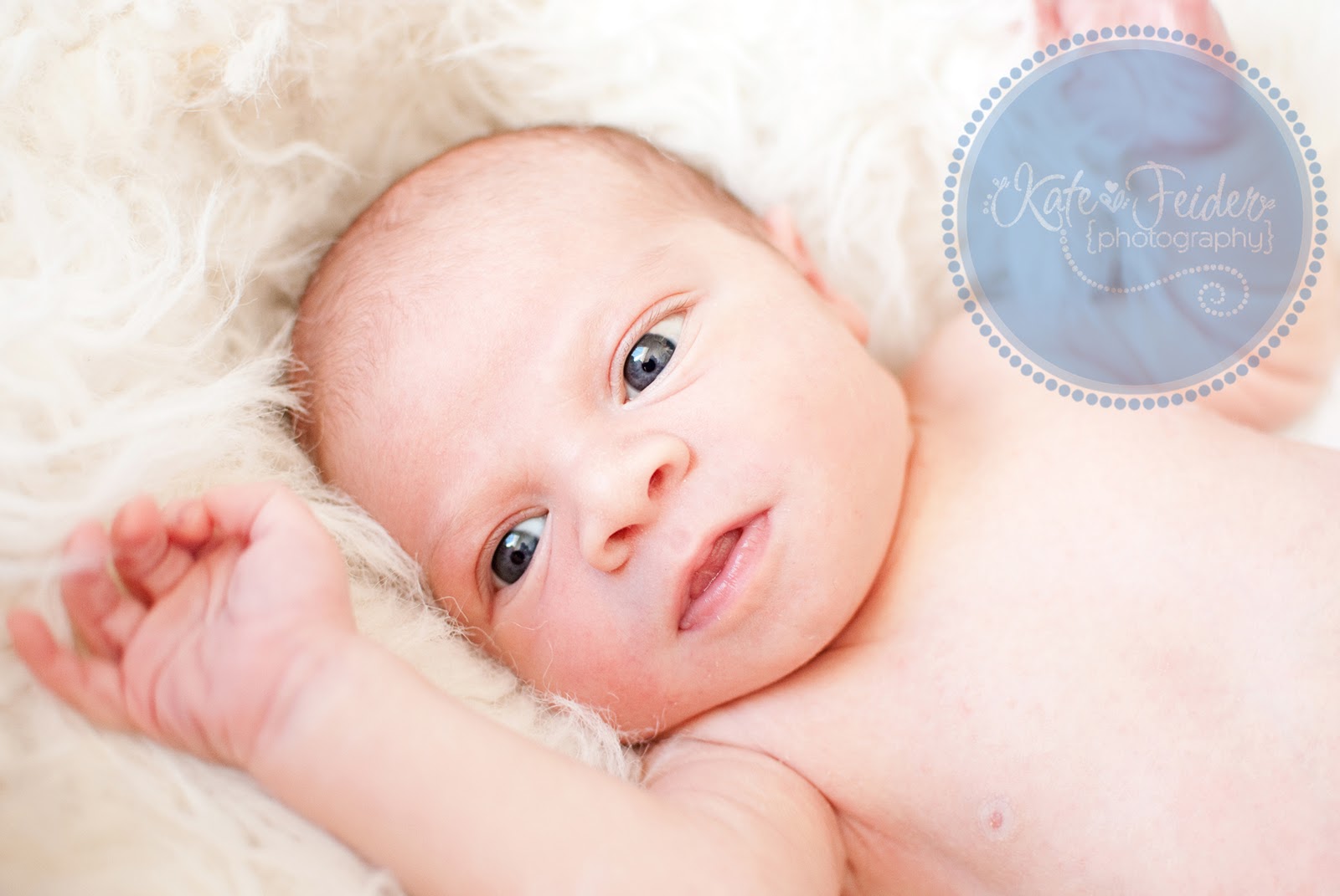 KFP Client Gallery: Newborn Jet