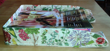 BushcraftZ: Upcycle an office paper tray with recycled old botanical ...