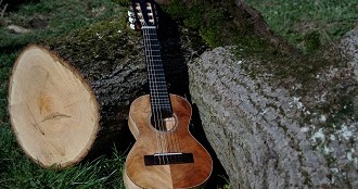 CARA BELAJAR GITAR KECIL (GUITALELE) HANYA DALAM SEHARI, DIJAMIN BISA ...