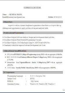 international curriculum vitae template free download