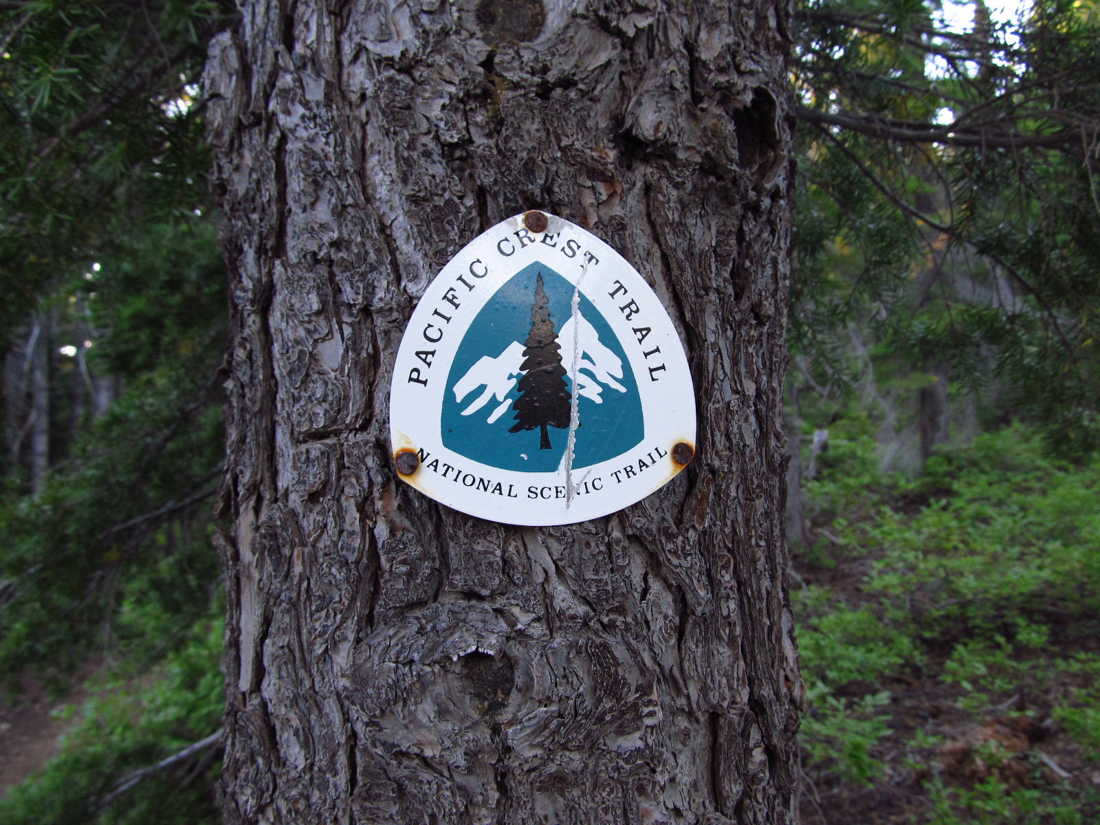 Following the PCT: Dorothy's (Bacon Bit) Thru-Hike Journal: About the PCT