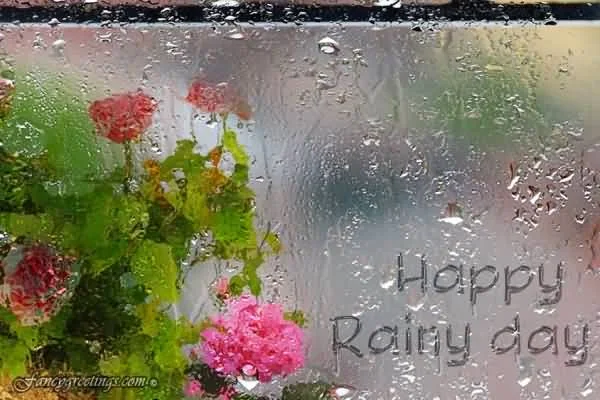 14 Best Happy Rainy Day Pictures and Messages