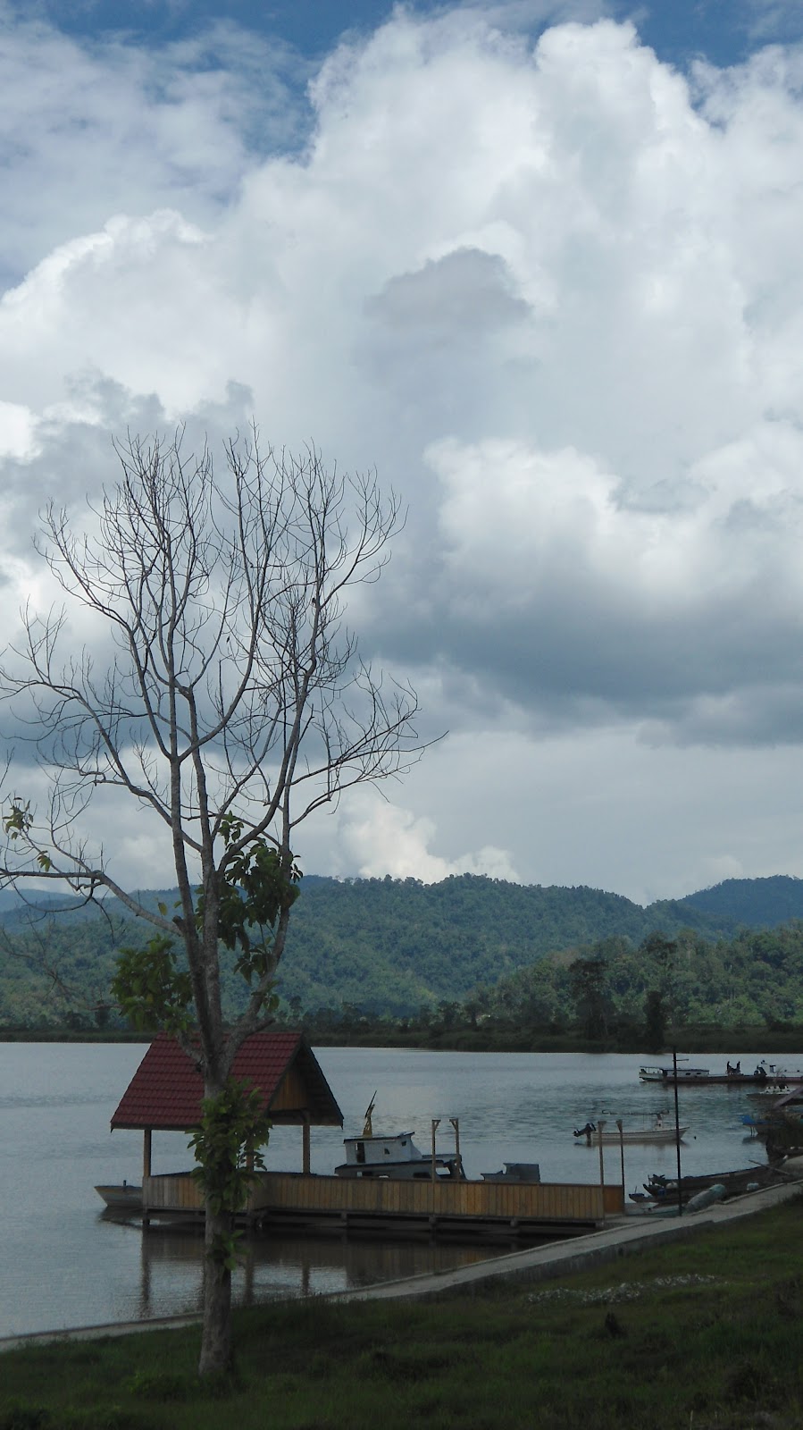 Onald Tolare: Danau Lindu, Kab. SIGI, Sulawesi Tengah
