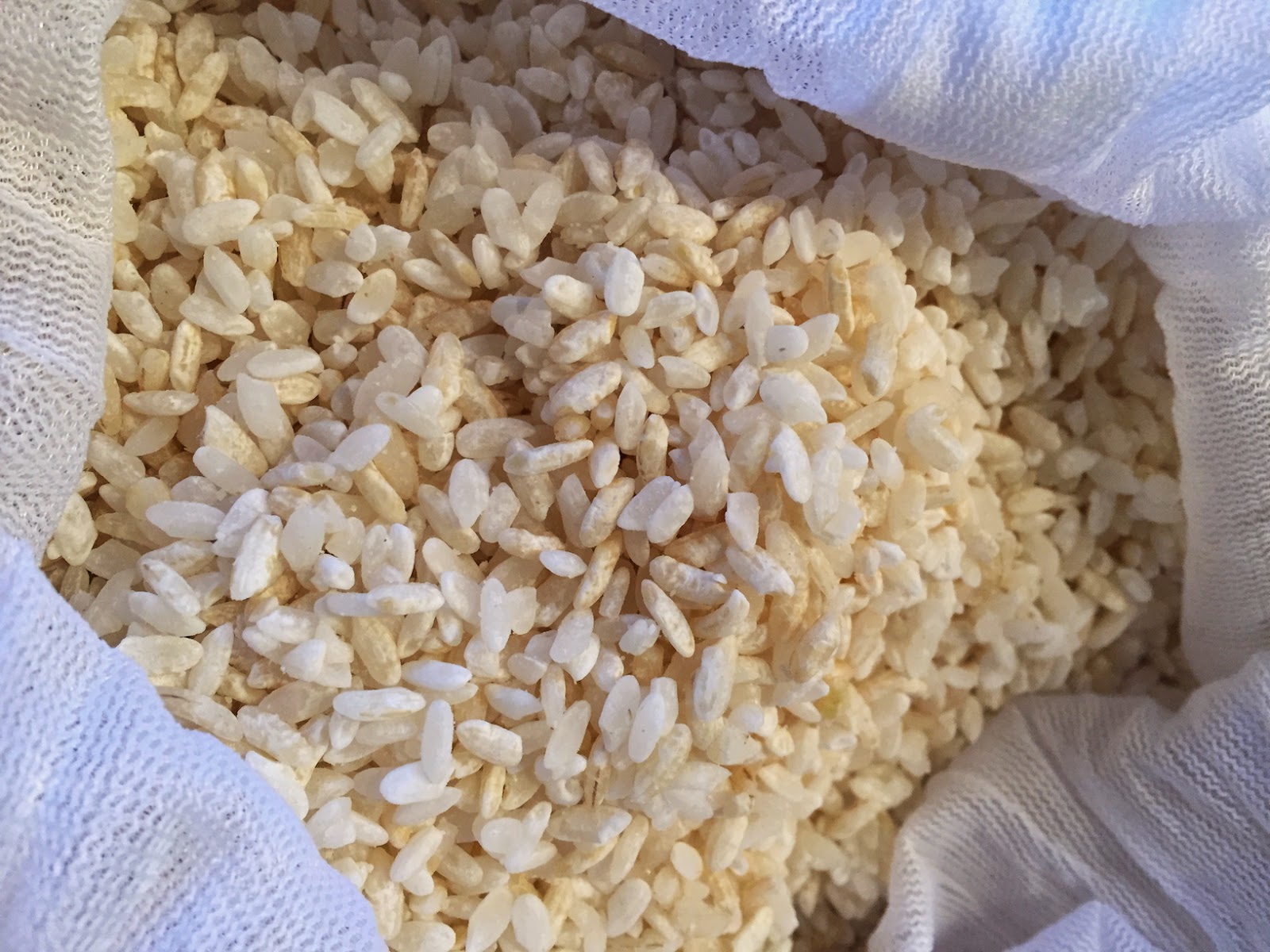 Homemade Rice Koji (kome kouji) in the US: Homemade Rice Koji ( kome ...