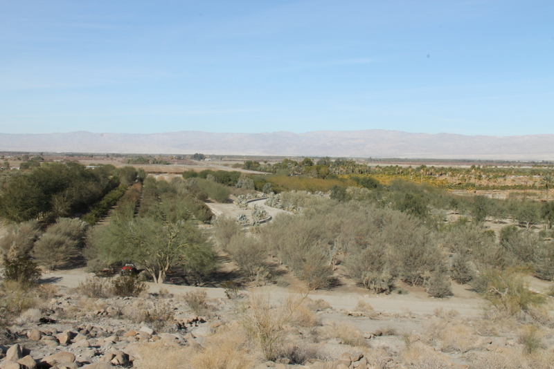 Geo's Journal: Ancient Lake Cahuilla - Fish Traps