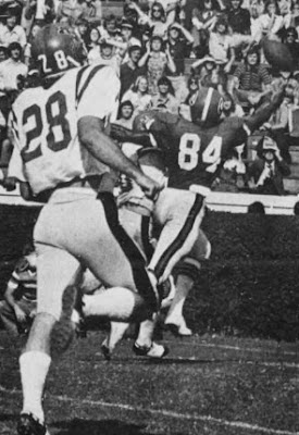 About Them Dawgs! Blawg: "Tight End U"?