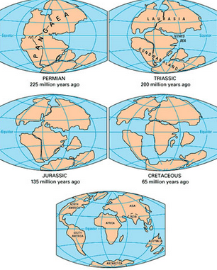 IPS (Ilmu Pengetahuan Sosial): Proses Terbentuknya Benua dan Samudra