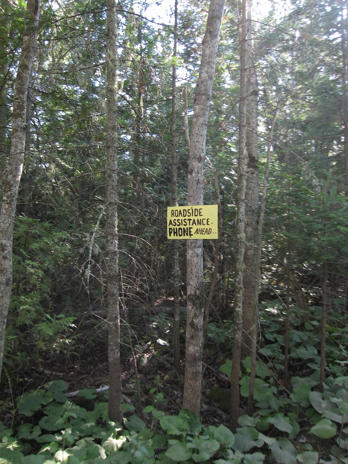 Kira and Kit's little world.: Yooper Humor.