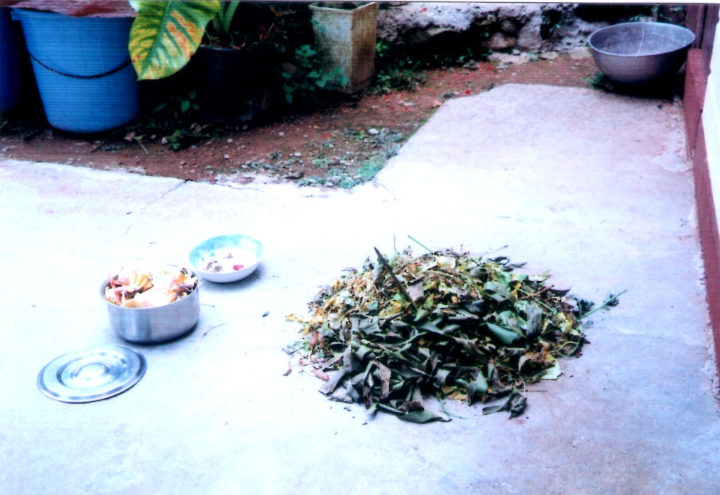 Backyard Gardening: Composting with Rabbit Manure