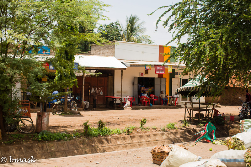 Y'all Come On In The Door's Open: Lake Manyara National Park-Africa