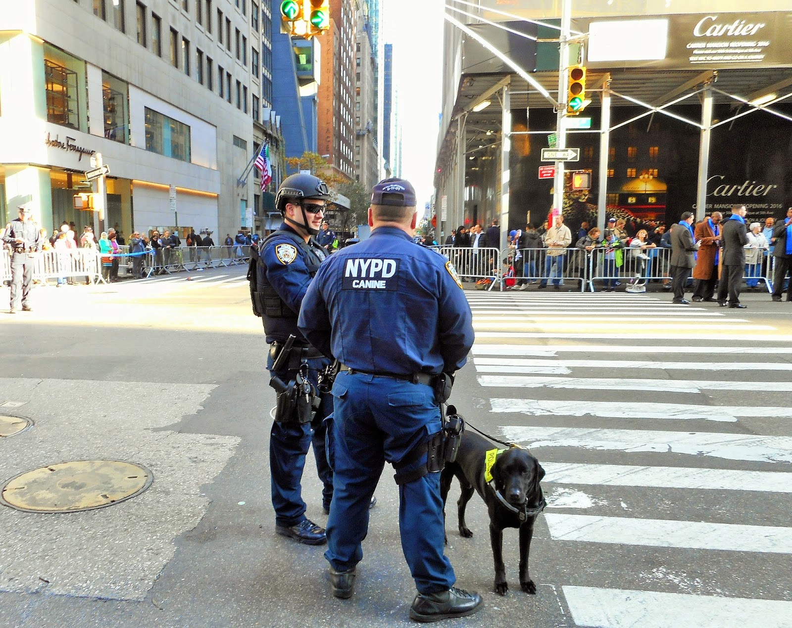 NYPD Mission: Terminate, Train, Transform