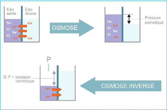 Transport membranaire | Bio faculté
