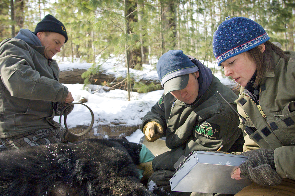 75th anniversary of Pittman-Robertson Act is a perfect time to ...