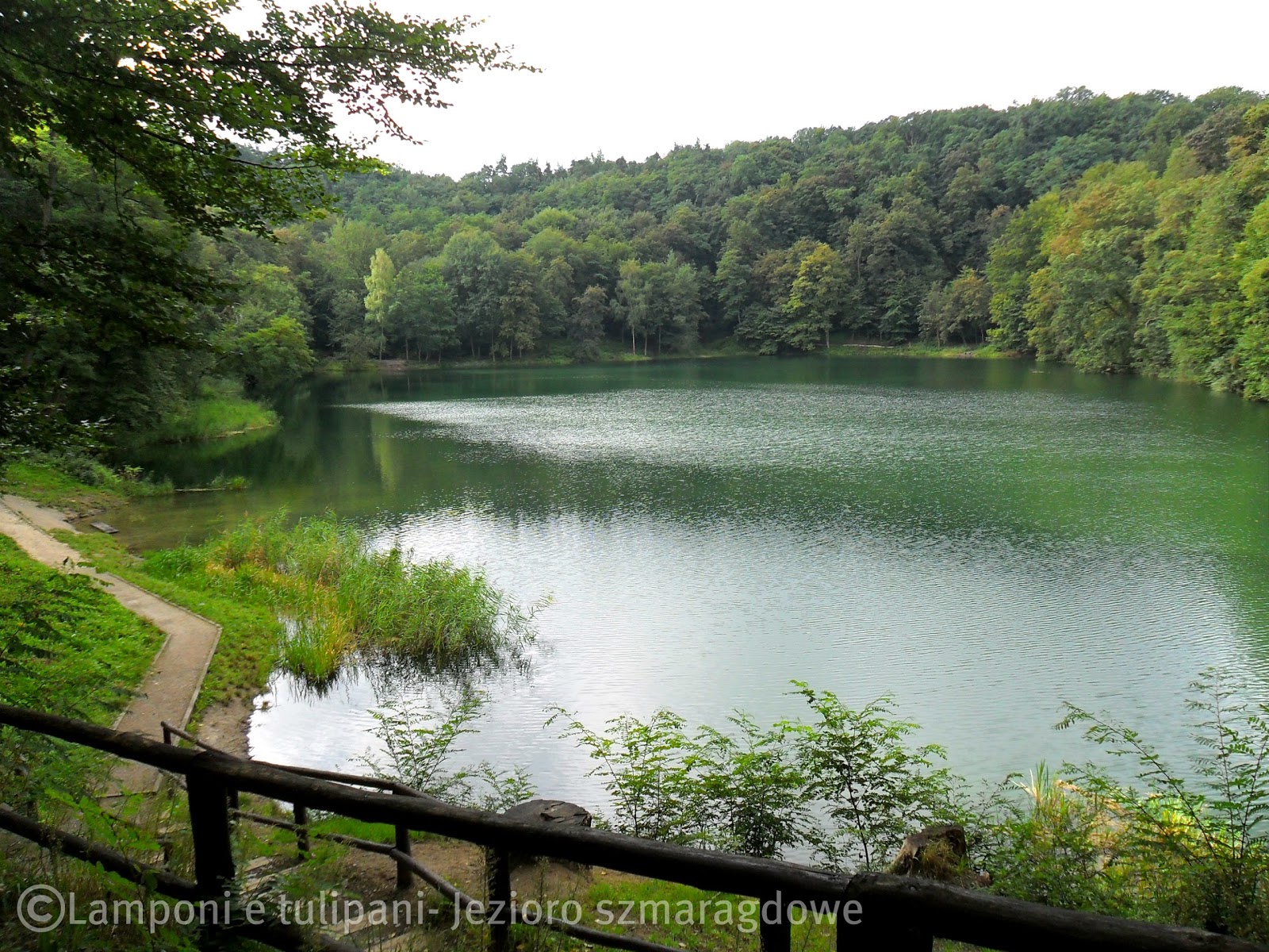 Lamponi e Tulipani: lunga vita al brunch