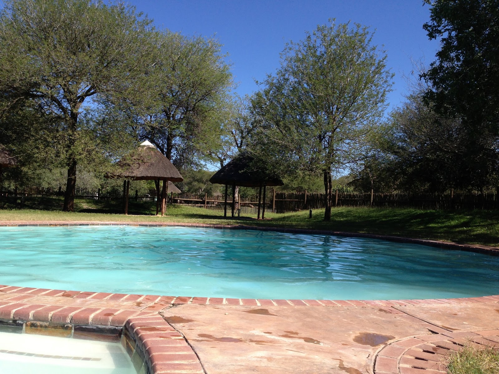 Do I Really Need That Rabies Shot...? : Kruger National Park--> Ha ...