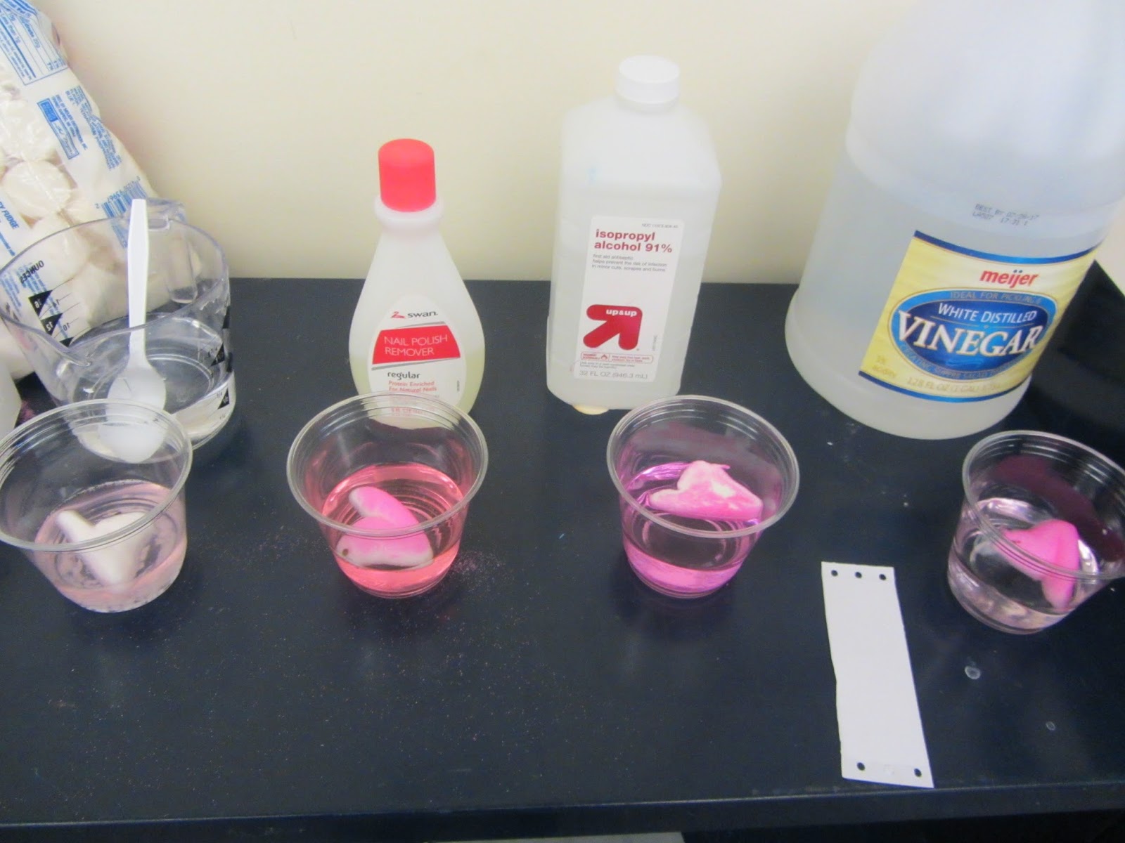 Monday Madness: Science with My Peeps