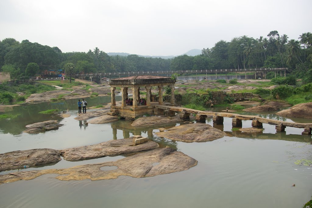 Tamilnadu Tourism: Virabadhreswarar Temple, Thirparappu, Kanyakumari