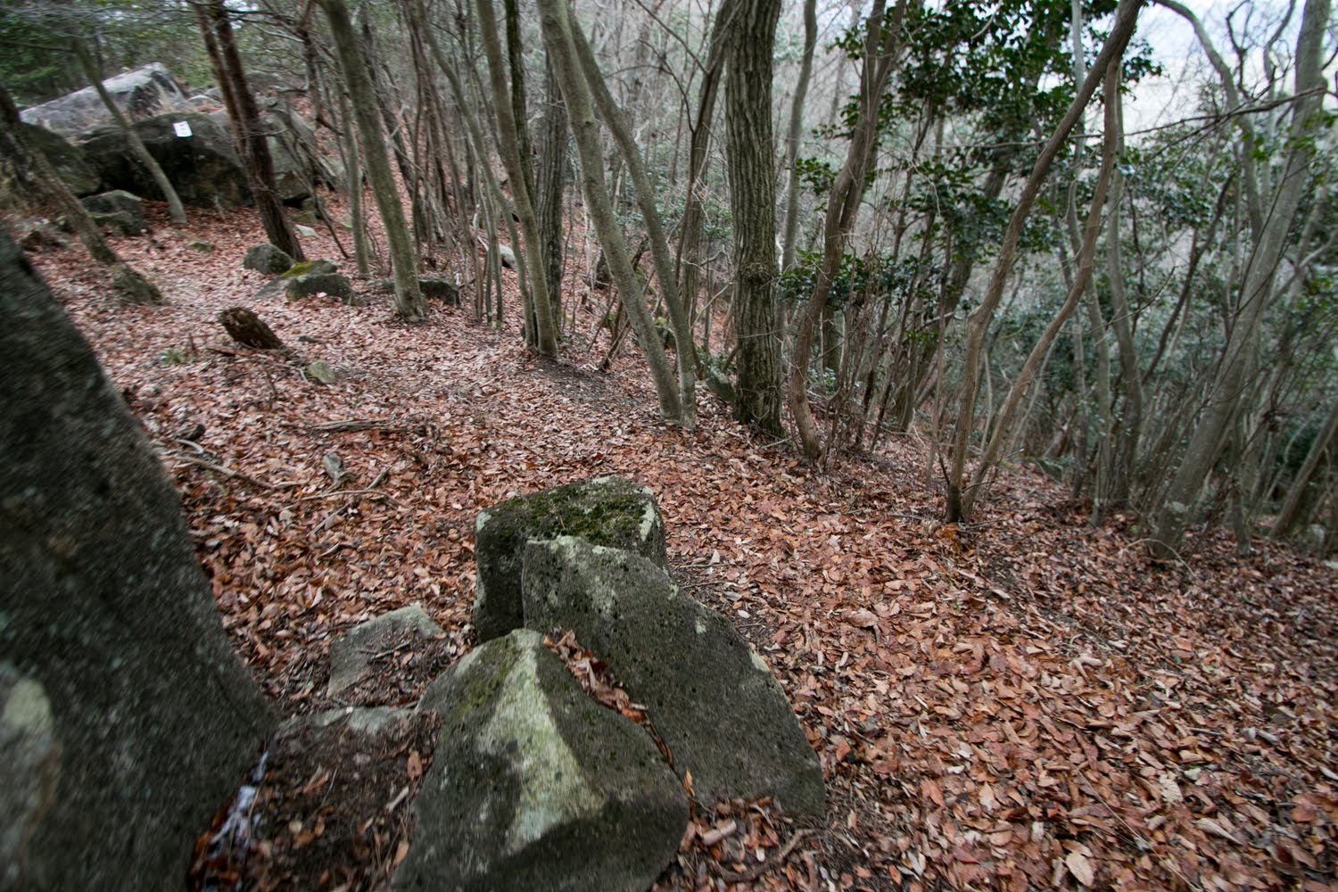 Tenjinyama Castle (Bizen) -When it goes around it comes around- | Ken's ...