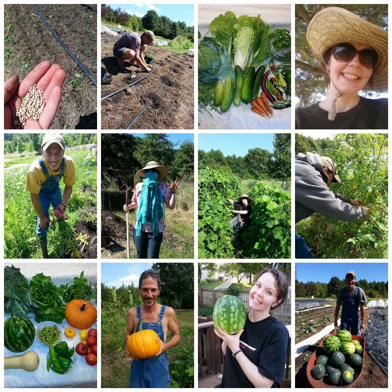 Leafy Greens Farm: 8 THINGS WE LOVE ABOUT FARMING THIS YEAR