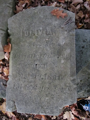 Old Blue Genes: Timothy Osborn (1805-1898)