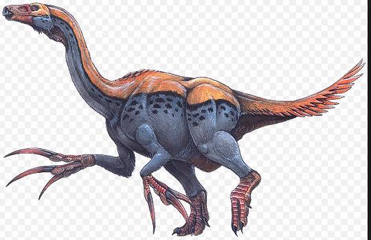 5 Top Facts Prehistoric Weirdos