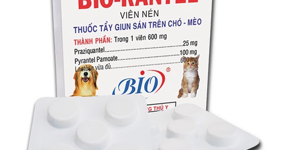 Thuốc tẩy giun sán cho chó mèo - Bio Rantel | pet shop