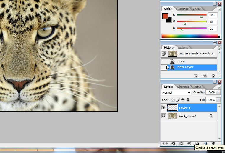 Girfa : Student Help: frame collage effect