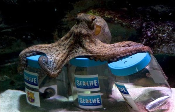 Offbeat Photography Photos Free Download - Fantastic Pictures