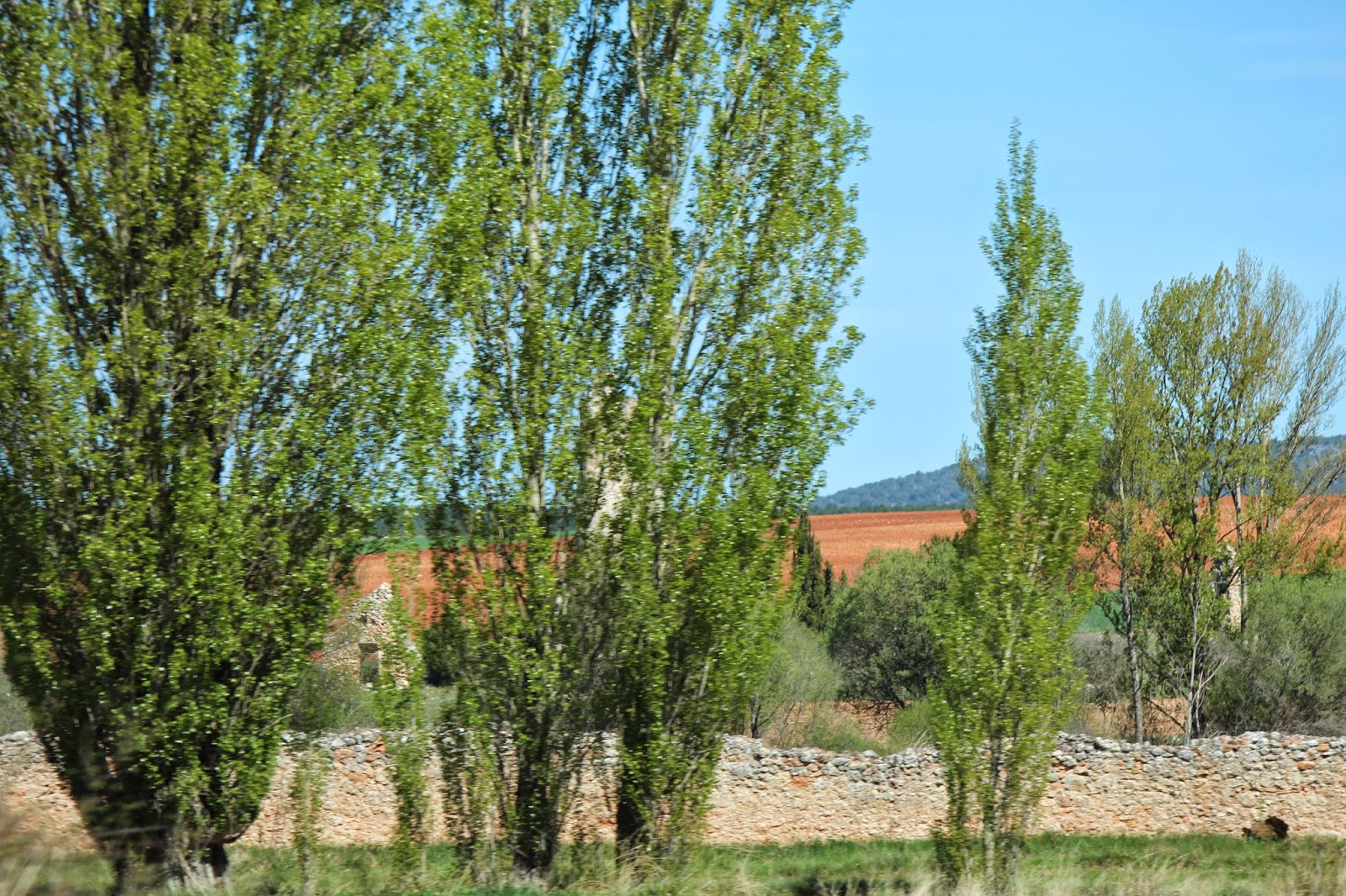 Historia y Genealogía: Guijosa. Soria. Monasterio de San Jerónimo