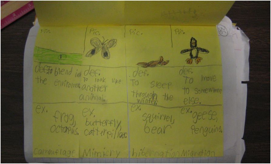 Sweet Teach: Science Notebooking: Animal Adaptations