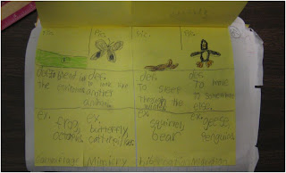 Science Notebooking: Animal Adaptations - Adrienne Teaches