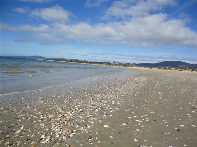 Nove meses na Tasmânia: Spring Beach, Rheban Beach e Orford