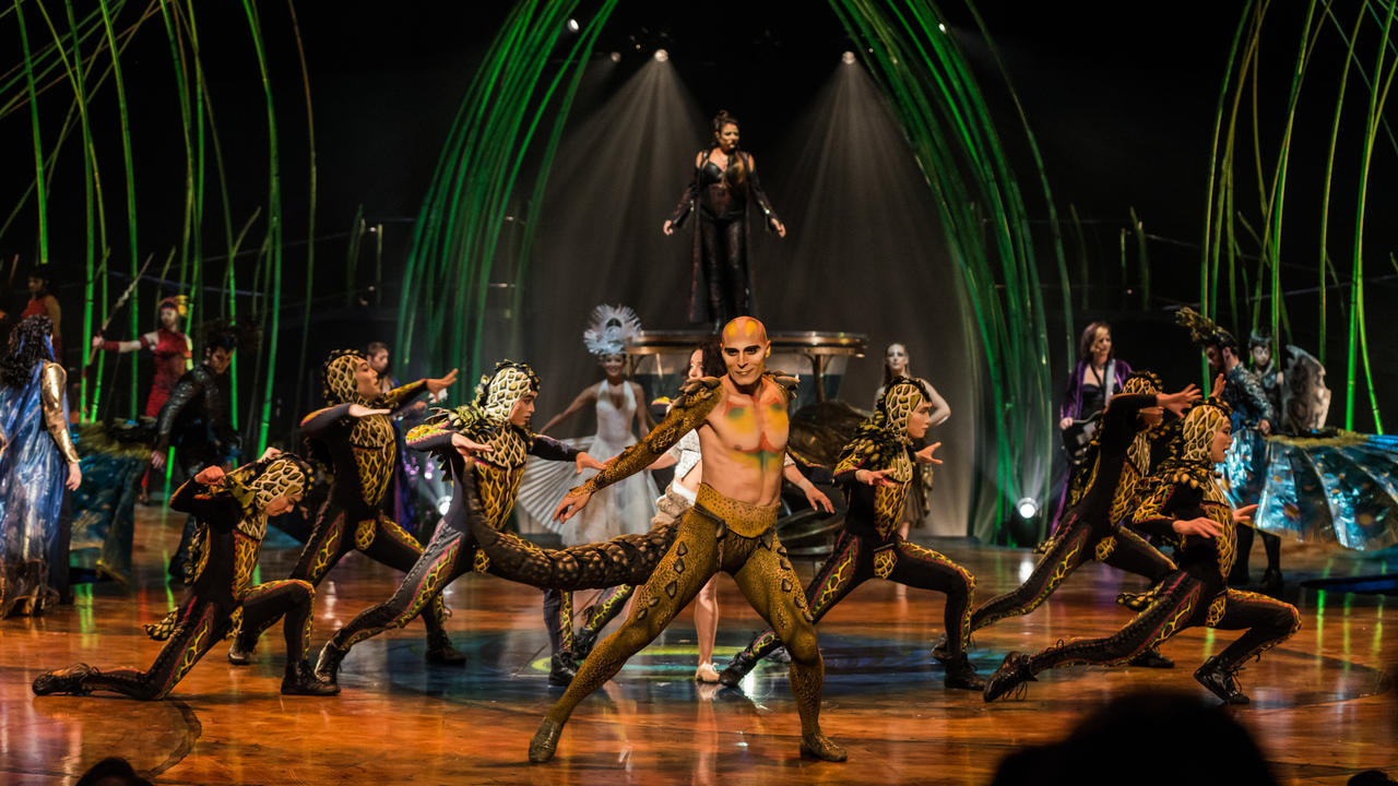 Review: Cirque du Soleil presents Amaluna - Royal Albert Hall ...