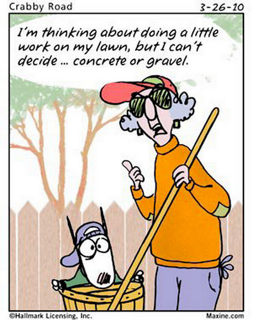 Chuck's Fun Page 2: Some mildly amusing Maxine cartoons