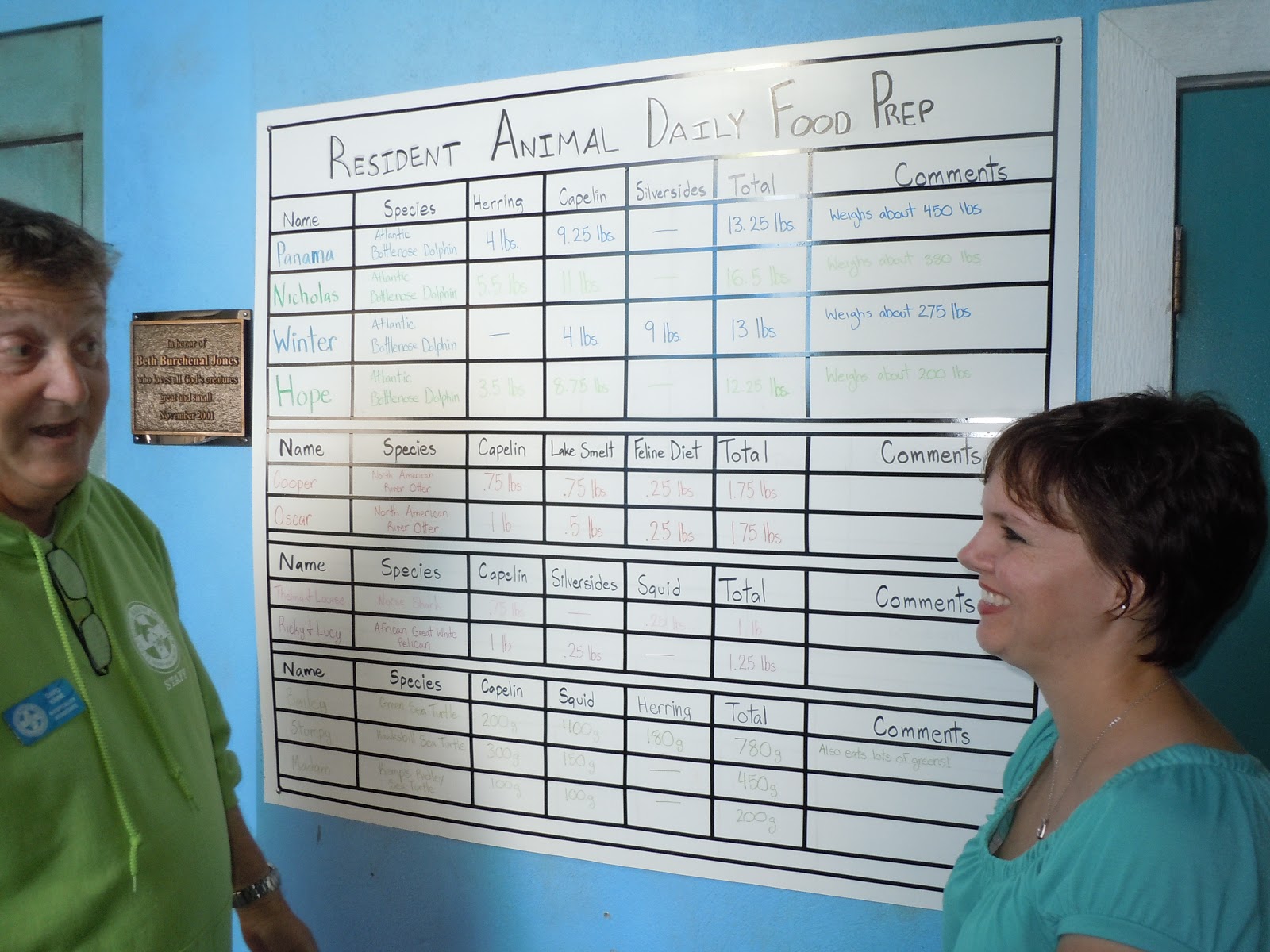 Practical PetVet®: A Christmas Miracle: Winter's Tale